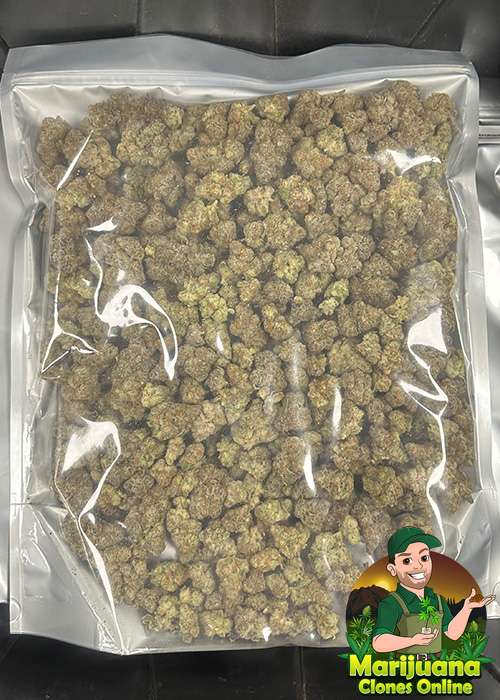 THCa Flower Pounds | Order Bulk THCa Flower Here