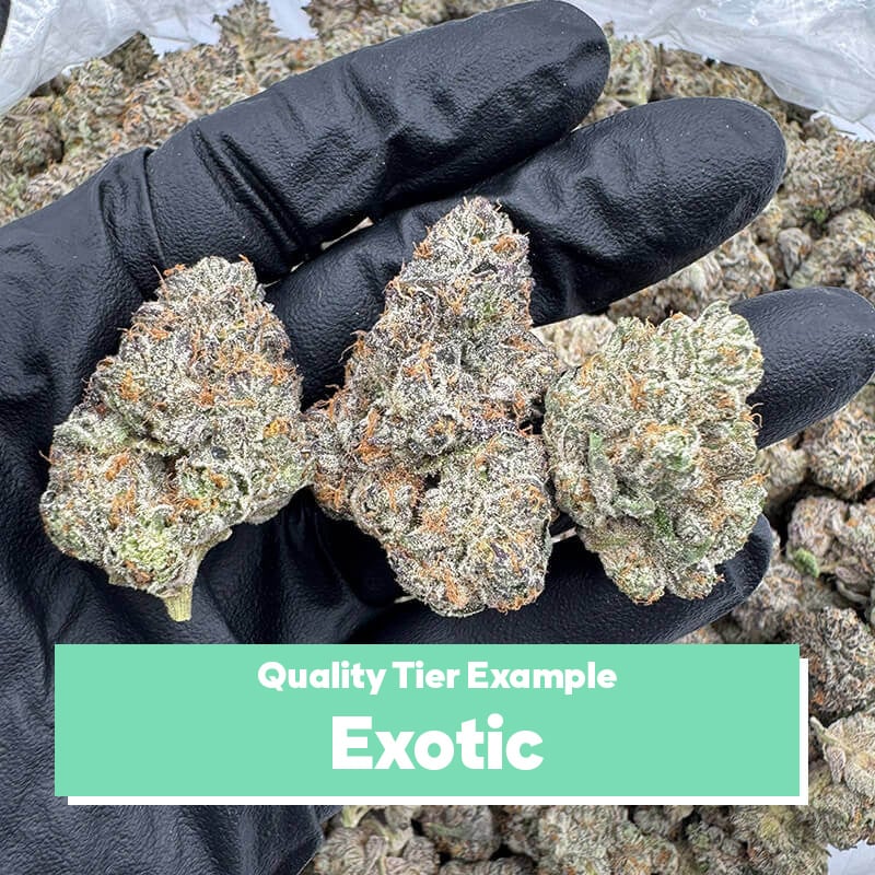 THCa Flower Quarter Pounds