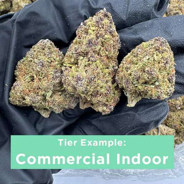 THCa Ounces | As Low As $79!