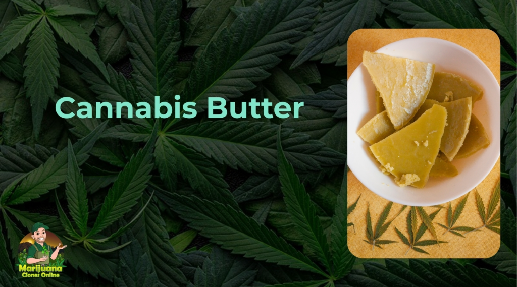 Cannabis Butter Review | How Do You Make it at Home?