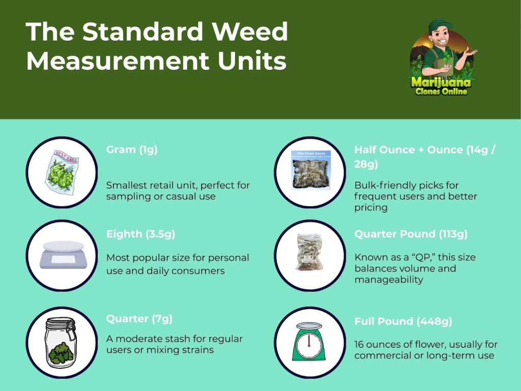Weed Measurements | How to Read Cannabis Weights with Ease
